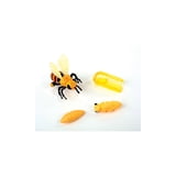 Insect Lore Honey Bee Life Cycle Stages Science Model - Walmart.com