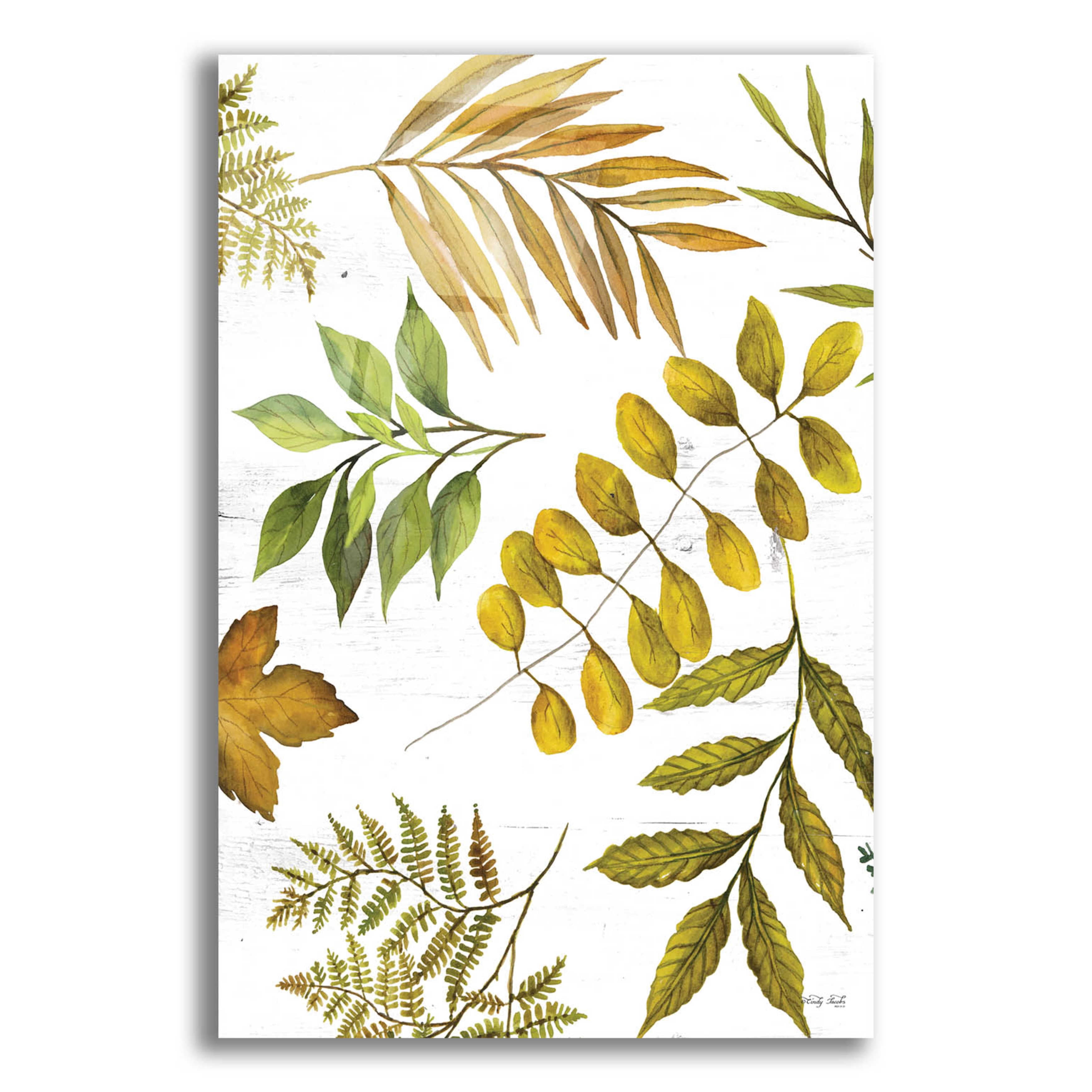 Epic Art 'Leaf Patterns I' by Cindy Jacobs, Acrylic Glass Wall Art, 12 ...