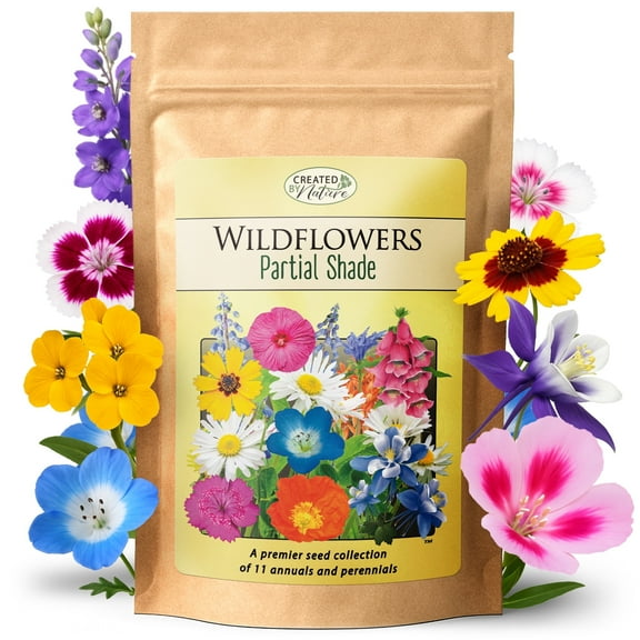 Wildflower, Perennial, Annual Flower Seed Kit | 35 Variety Pack ...