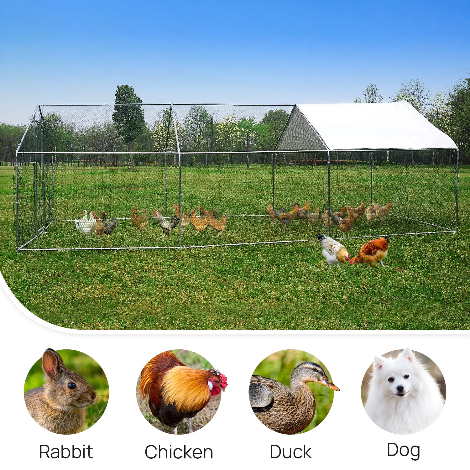 Walsport 20x10 ft Large Metal Wire Chicken Coop with Philippines | Ubuy