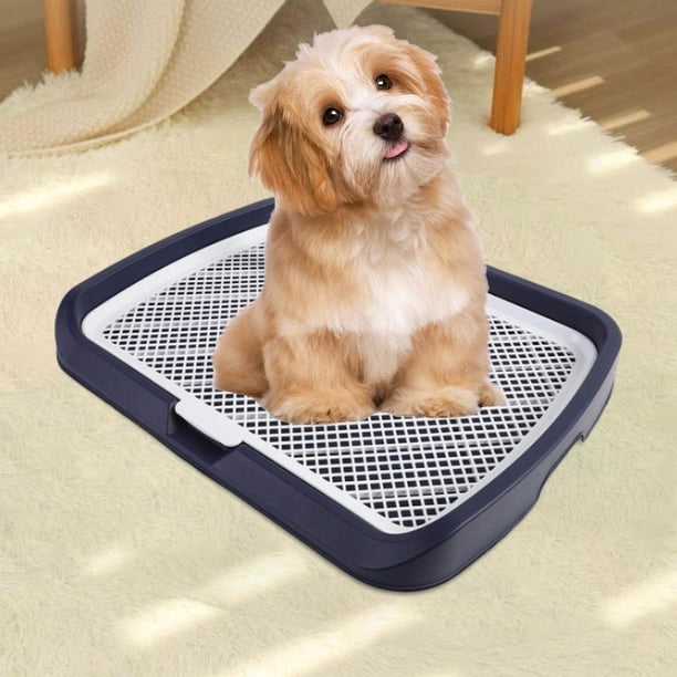 pitrice Mesh Dog Toilet Litter Box Easy Clean Comfortable for Small and ...