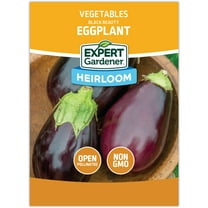 Expert Gardener Burpee's Black Beauty Eggplant Vegetable - Walmart ...