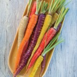 Burpee Kaleidoscope Blend Carrot Vegetable Seed Tape, 1-Pack - Walmart.com