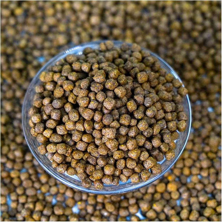 Fish Food Pellets