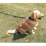 Yangbaga Dog Leash Extender, Shock Absorber Bungee Leash Attachment ...