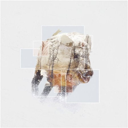 Boar Double Exposure Wildlife Art by Eazl Premium | Walmart Canada