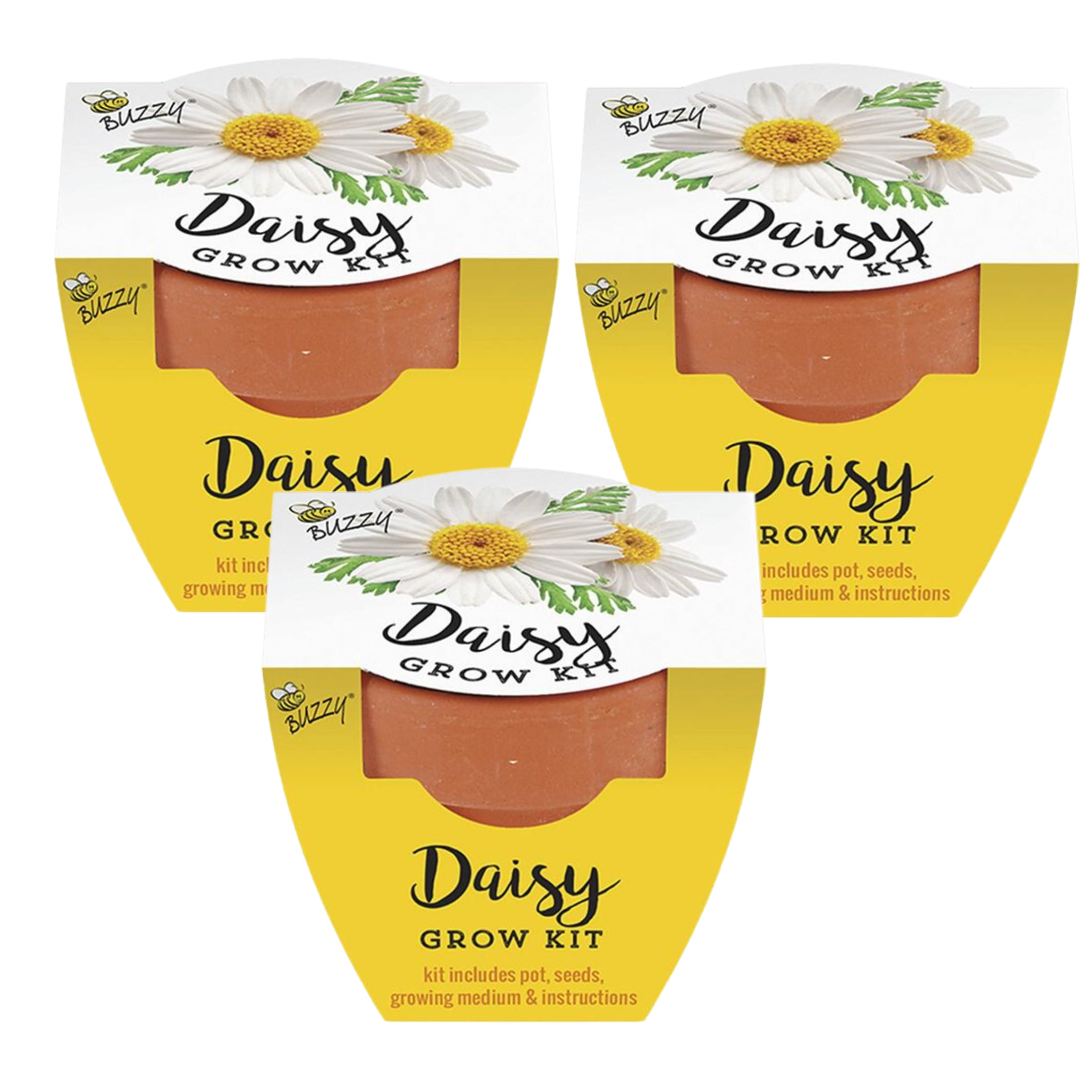 (3) Floral Grow Pot Kit Indoor & Outdoor Seed Starter Grow Kit Daisy ...