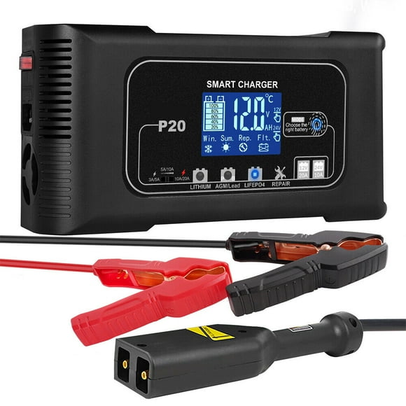 Lifepo4 Battery Charger