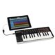 Samson Graphite 25-Key Mini Keyboard MIDI USB Controller - Walmart.com