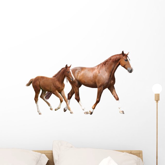 Chestnut Horse and Its Wall Decal by Wallmonkeys Peel and Stick Graphic ...