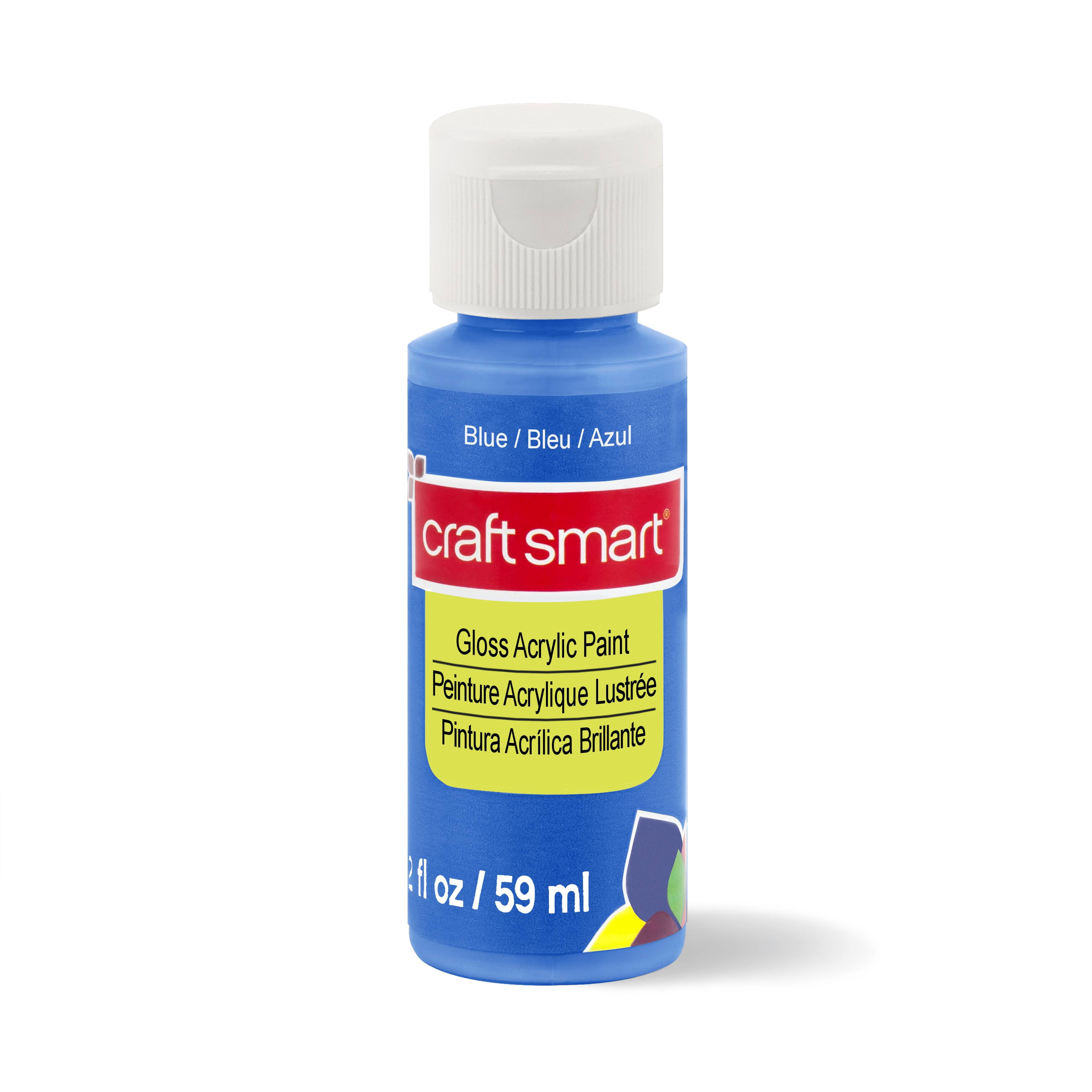 12 Pack: Gloss Acrylic Paint by Craft Smart®, 2oz. - Walmart.com