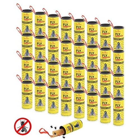 LIGHTSMAX Sticky Fly Ribbons Fly Paper Ribbon Fly Catcher Ribbon Fly ...