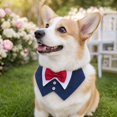 Pet Bow Tie Collar for Medium Large Dogs,Adjustable Gentleman ...