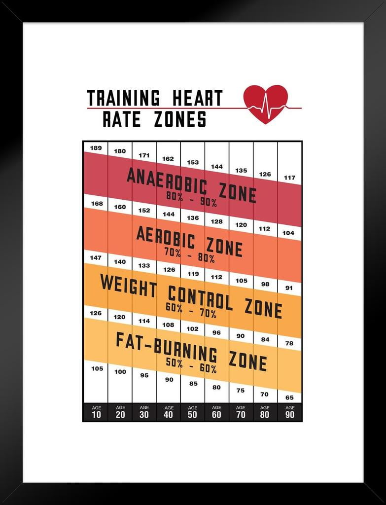 Training Heart Rate Zones Workout Gym Fitness Aerobic White Cardio ...