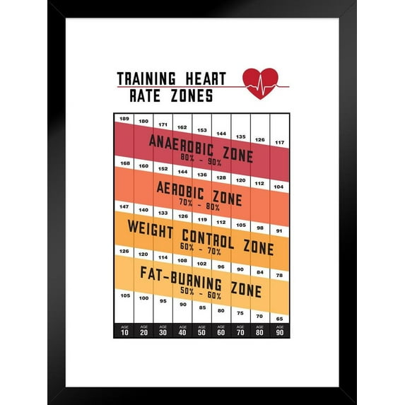 Training Heart Rate Zones Workout Gym Fitness Aerobic White Cardio ...