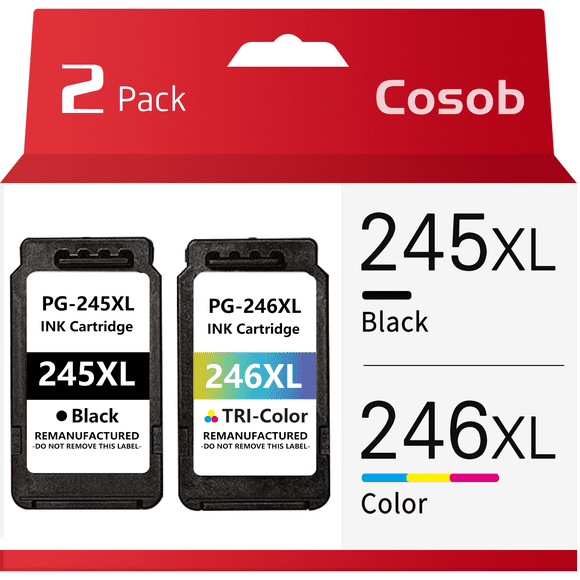 Canon Ink Cartridges 243 244
