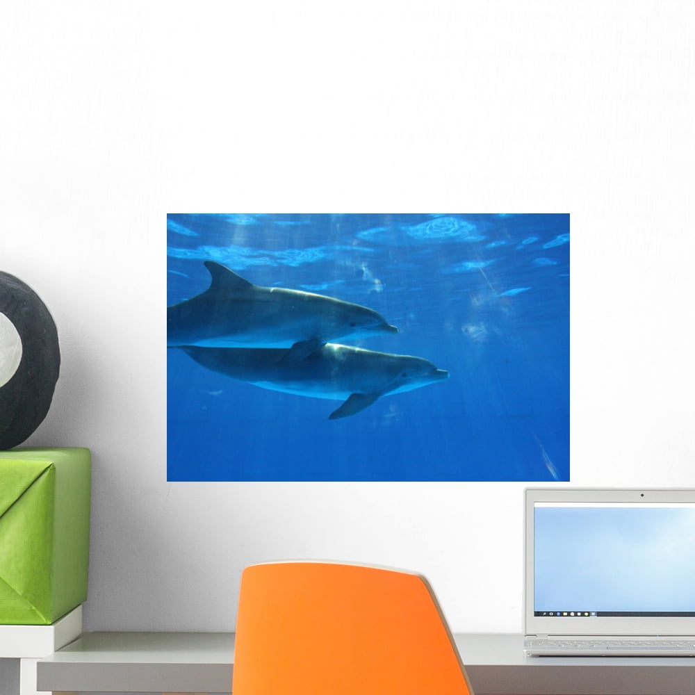 Dolphin Wall Mural Decal Sticker, Wallmonkeys Peel & Stick Vinyl ...