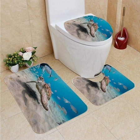 JSDART Sea Turtle in Shallow Water Coral Reef in Caribbean Sea Around ...