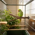 Natural Wood Parrot Perch Set, Bird Cage Stand Stick Platform Chew Toy ...