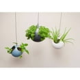 Exaco Euro Pot Hanging Planter - Set of 2 - Walmart.com