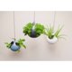 Exaco Euro Pot Hanging Planter - Set of 2 - Walmart.com