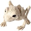 Outdoor Skeleton Turtle Animal Decor for Halloween, Approx. 2x4.5x7.75 ...