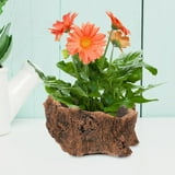 Bonsai Planter Gift Boxes Stump Log Small Flowerpots - Walmart.com