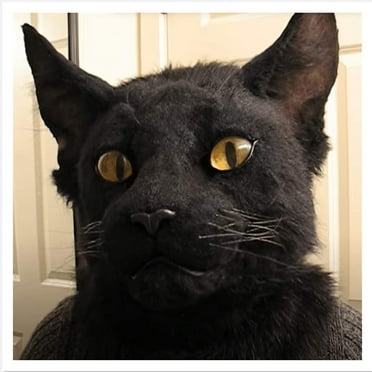 Douglas Oscar Maine Coon Cat Plush Stuffed Animal - Walmart.com