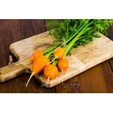 800 Seeds PARISIAN CARROT Parisienne Carrot Daucas Carota Sativus ...