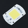 220V COB LED Chip 20/30/50W Floodlight Integrated Smart IC Driver Lamp ...