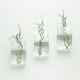 Efavormart 3 Pack Trapezoid Shaped Glass Wall Vase Hanging Glass ...