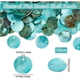 140Pcs Dyed Natural Akoya Shell Pendants Disc Charms Pale Turquoise ...