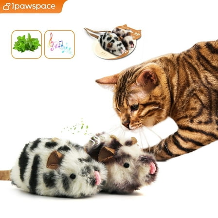 Migipaws Interactive Cat Toy: USB Rechargeable Smart Ball, Mice ...
