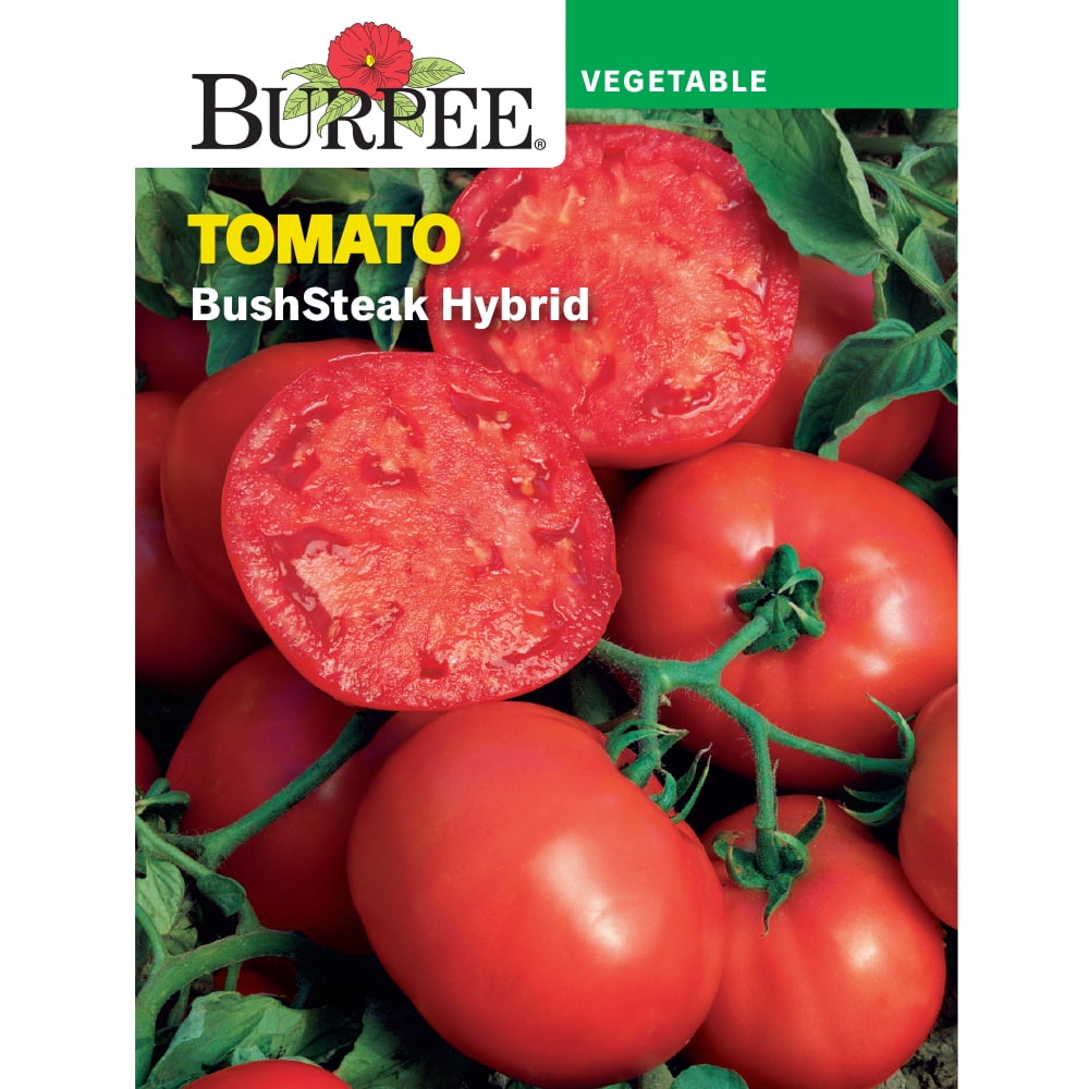 Burpee Bushsteak Hybrid Tomato Vegetable Seed, 1-pack - Walmart.com ...