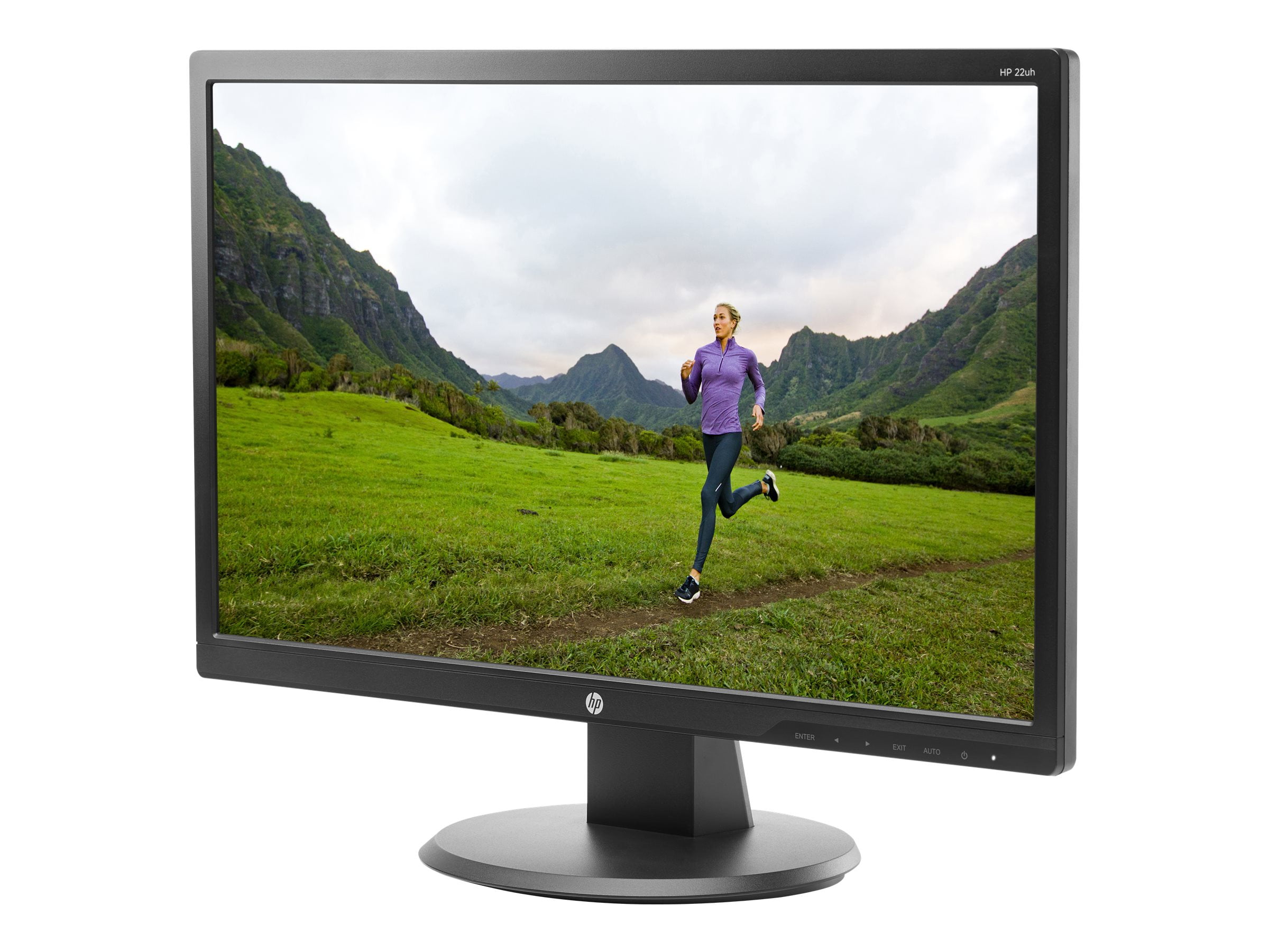 HP Value 22" 1920x1080 HDMI DVI VGA 60hz 5 ms LED Monitor - 22uh ...