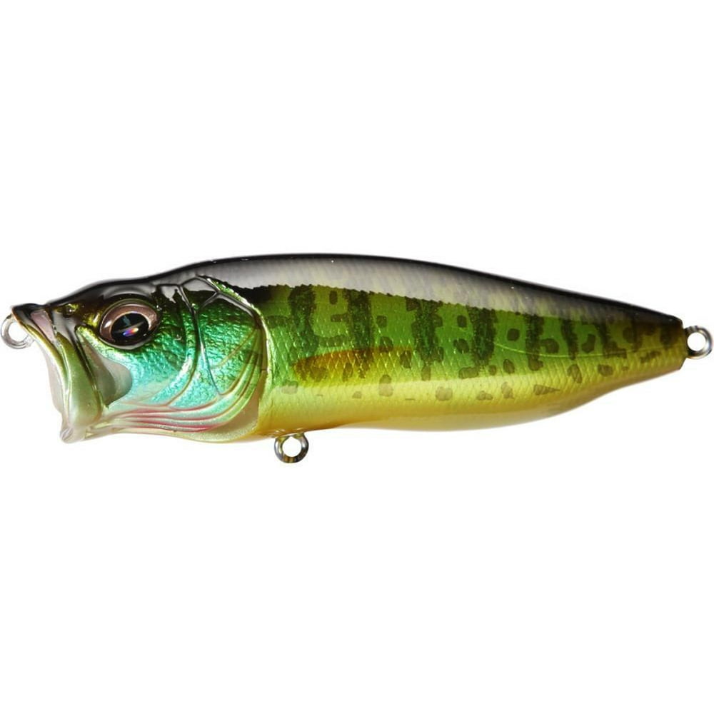 Megabass Pop Max Topwater Popper - Walmart.com - Walmart.com