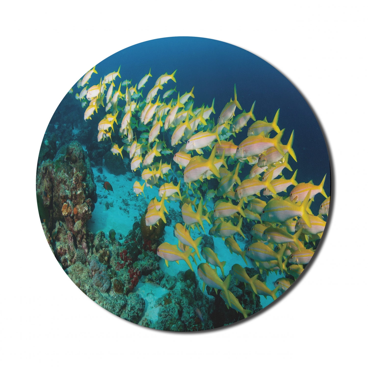 Underwater Mouse Pad for Computers, Large Group of Fish Swimming Around ...