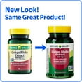 Spring Valley Ginkgo Biloba Extract Dietary Supplement Vegetarian ...