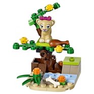 LEGO Friends Botanical Garden Flower and Butterfly Playset 30417 ...
