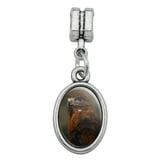 Red-Tailed Hawk Raptor Portrait Italian European Style Bracelet Oval ...