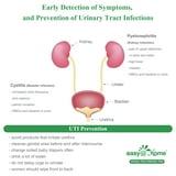 Easy@Home Home UTI Test Kit, OTC Urinary Tract Infection Detection, 25 ...