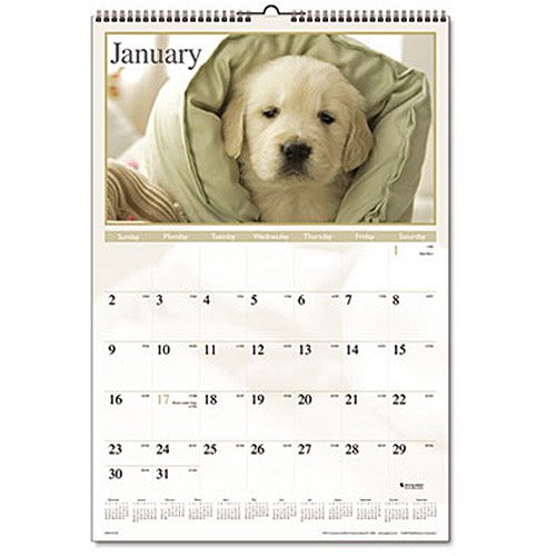 How Much Is A Puppy Per Month