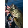Berkley PowerBait® MaxScent 'Moeba, 4.5 in, Creatures, Black (1-count ...