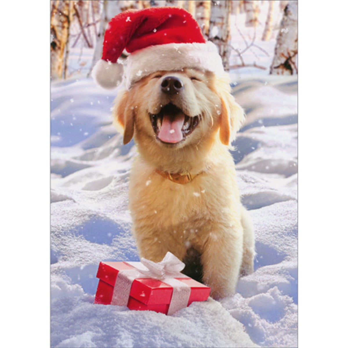 Avanti Press Smiling Santa Puppy in Snow with Red Gift Box of 10 Cute ...