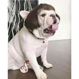 Dog Wig Funny Dog Costumes Halloween Decor with Adjustable Rope ...