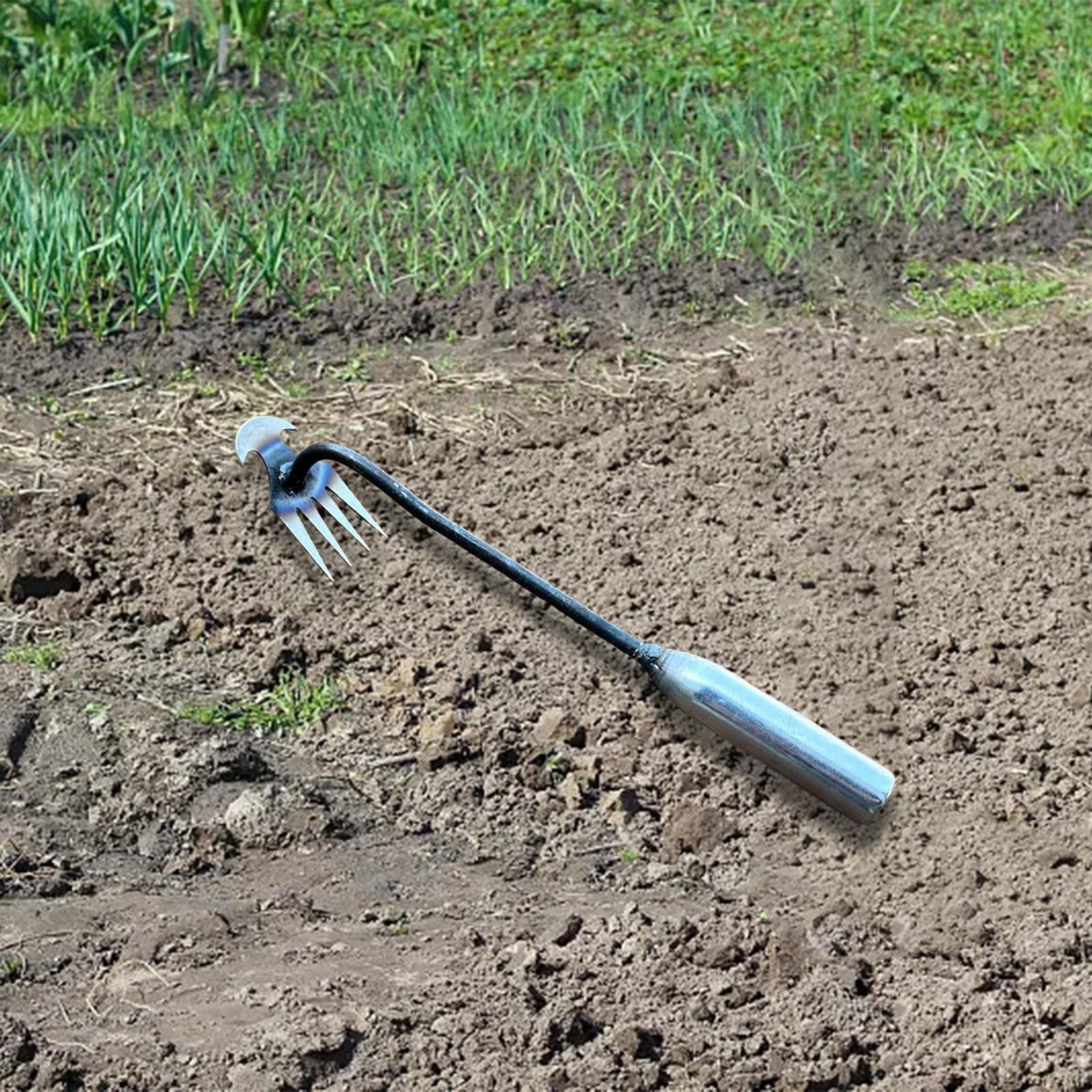 Multifunctional Weeder, Hand Weeding Removal Puller, Stainless Steel ...