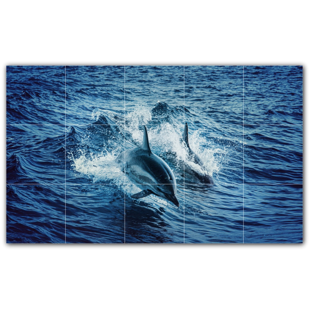Picture-Tiles.com: Dolphin Ceramic Tile Wall Mural WAL500528-53XL. 60"W ...