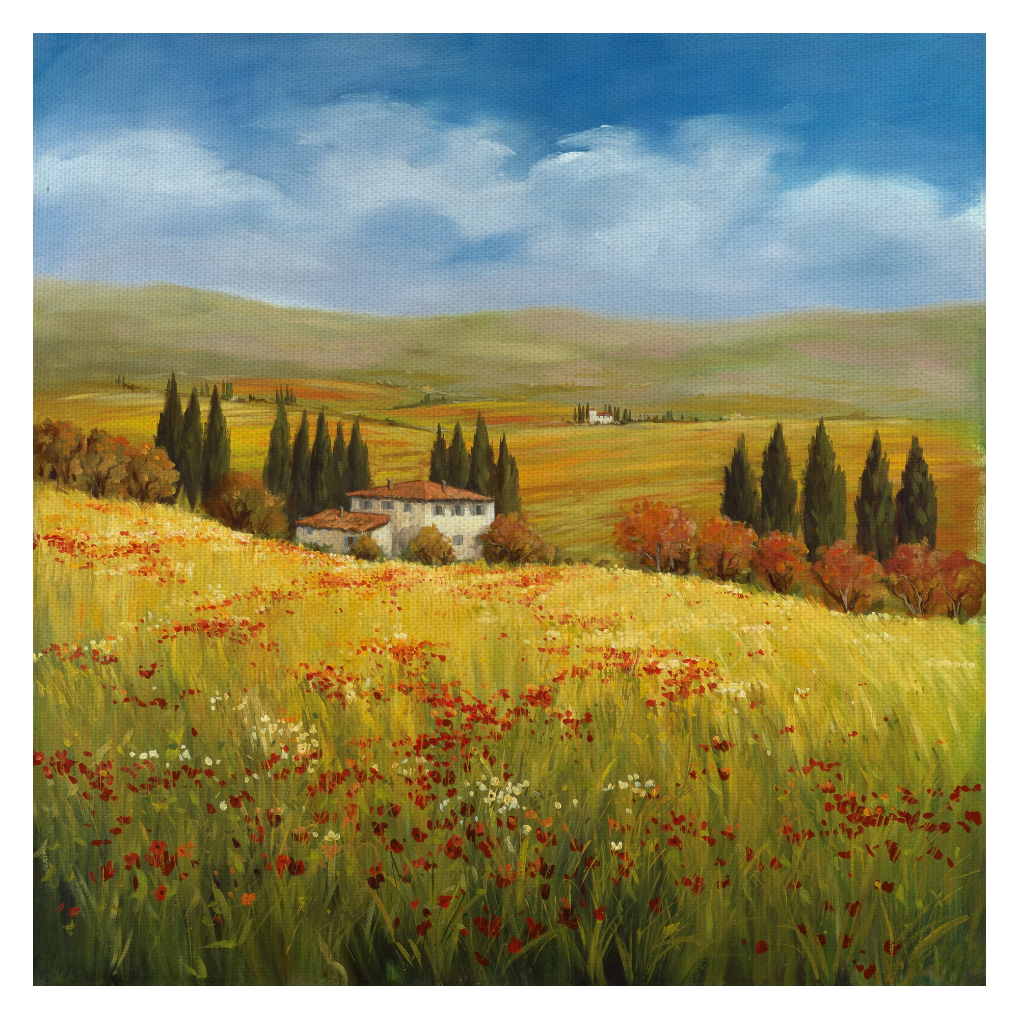 Masterpiece Art Gallery Lo Splendor De La Toscana Field Of Italy By Tim ...