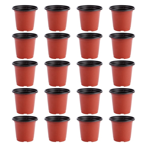 6 Inch Pots