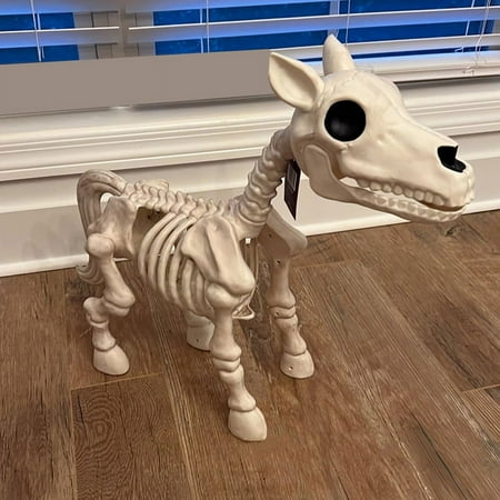 Halloween Horse Skeleton,New Horse Skull Prop,Horse Skeleton Halloween ...